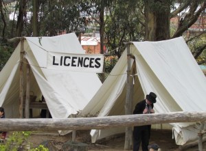 Eureka stockade – why did it happen? | Cheryl Adnams